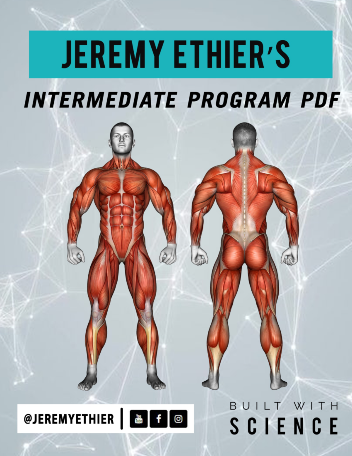 Intermediate program PDF - 025866752 - TABLE OF ARMS SPECIALIZATION PHASE YOUR WORKOUT ROUTINE ...