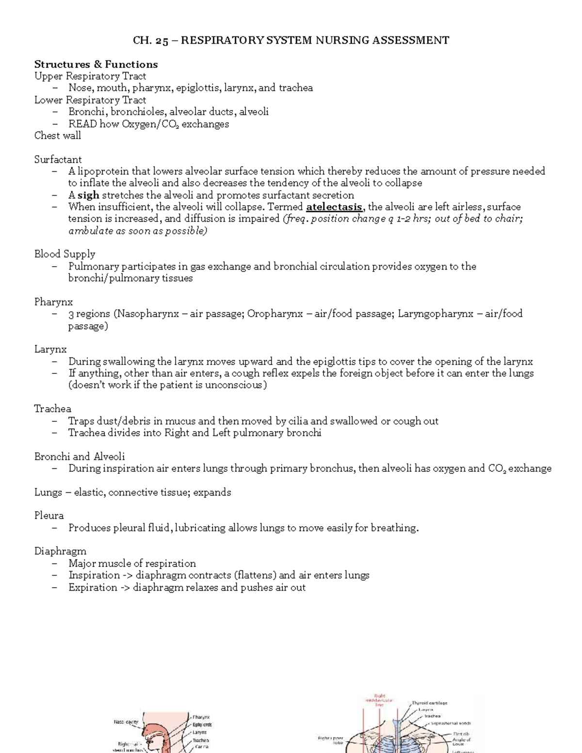 respiratory assessment lecture notes - CH. 25 – RESPIRATORY SYSTEM ...