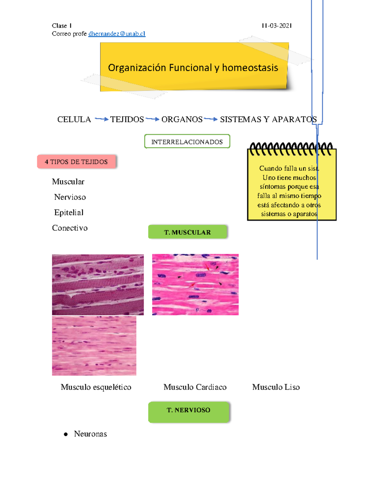 Clase 1 11-03-2021 - estudien - Correo profe dhernandez@unab INTERRELACIONADOS OrganizaciÛn ...