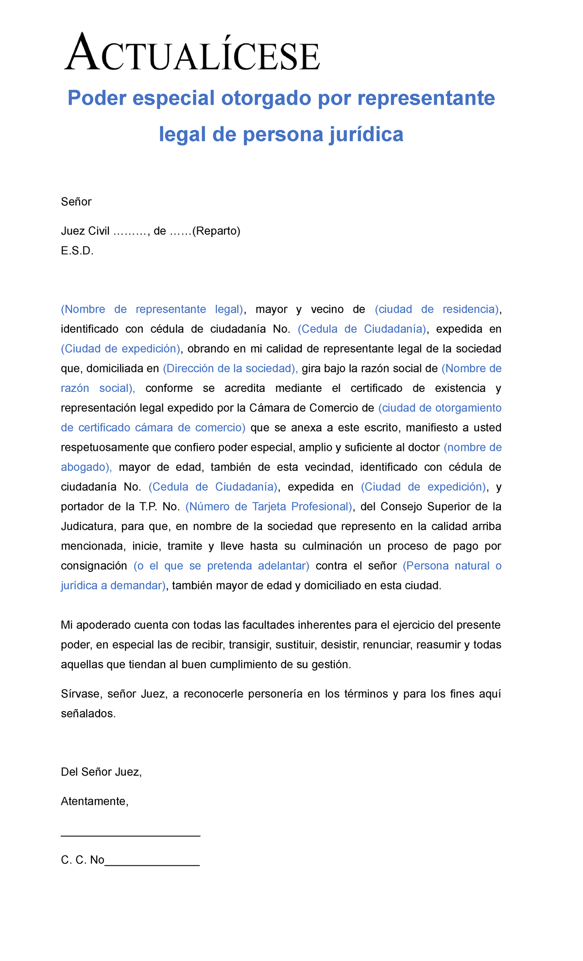 Poder especial otorgado representante legal persona juridica - Poder ...