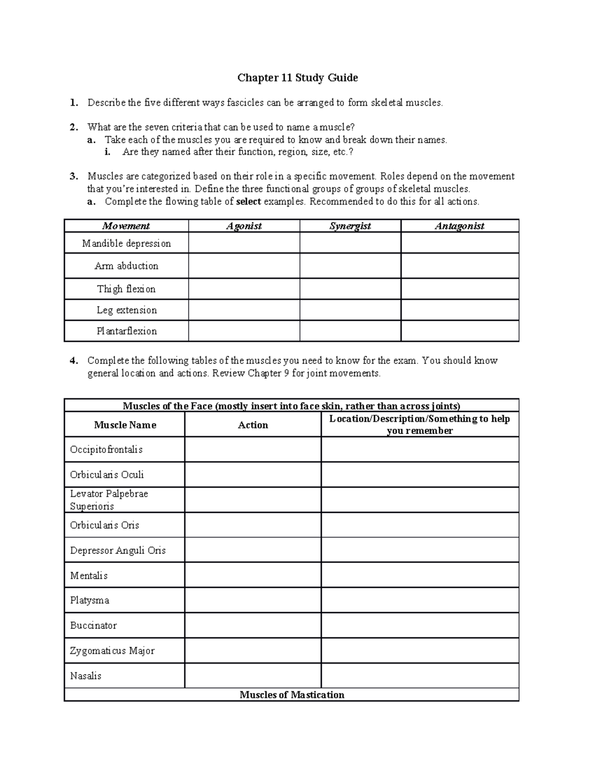 Anatomy and Physiology 101 Chapter 11 Study Guide - Chapter 11 Study ...