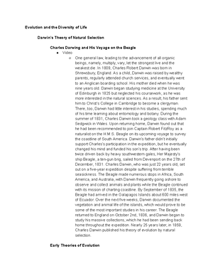 23787044­ 355340 - evolution and diversity of life essay - Neesa Dove ...