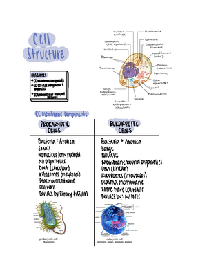 Gen bio exam 1 review answer key - BIO 115 - : o - Studocu