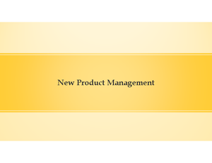 The+Mint+Marketing+Plan+For+ANY+Business+Launch - THE MINT BUSINESS ...