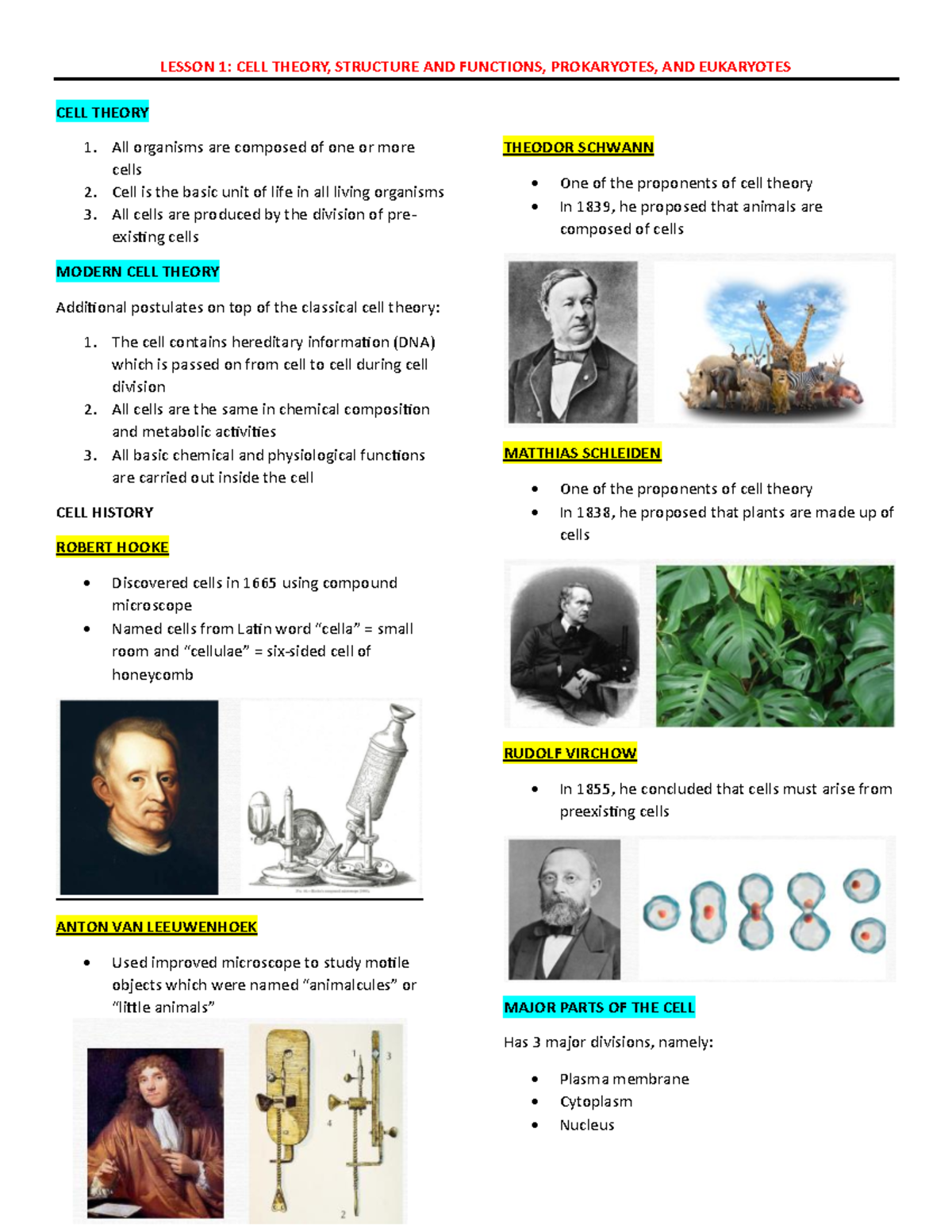 GB1 Lesson 1 - CELL THEORY All organisms are composed of one or more ...