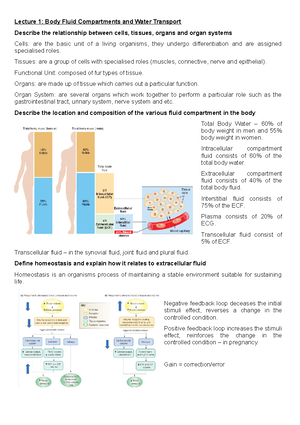 Human Dive Reflex Paper 1 - SIMULATED HUMAN DIVING AND HEART RATE ...