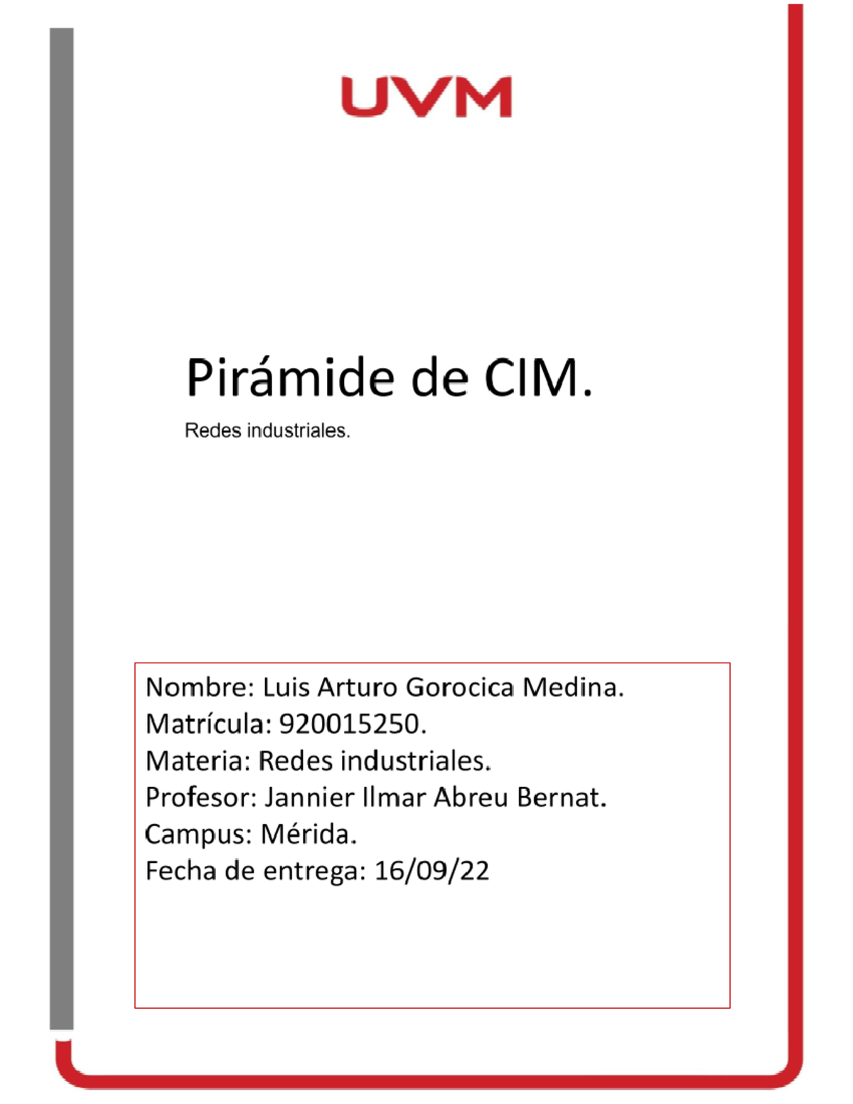 Pirámide CIM LAGM - Descripción y composición de la pirámide de ...