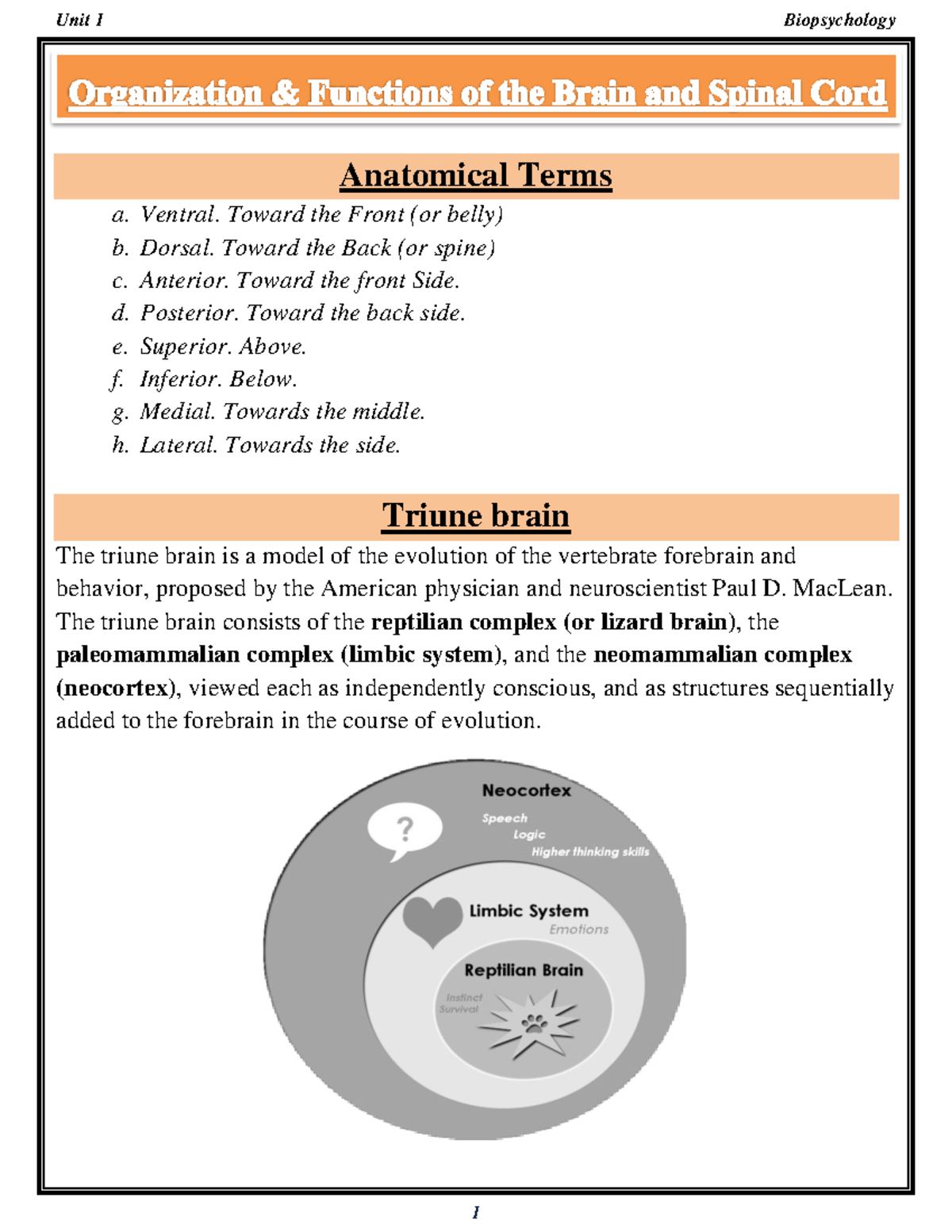 Organization & Functions of the Brain and Spinal Cord-converted-1 ...