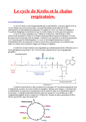 Métabolisme du glucose - CHAPITRE 1 : LA GLYCOLYSE La glycolyse se ...