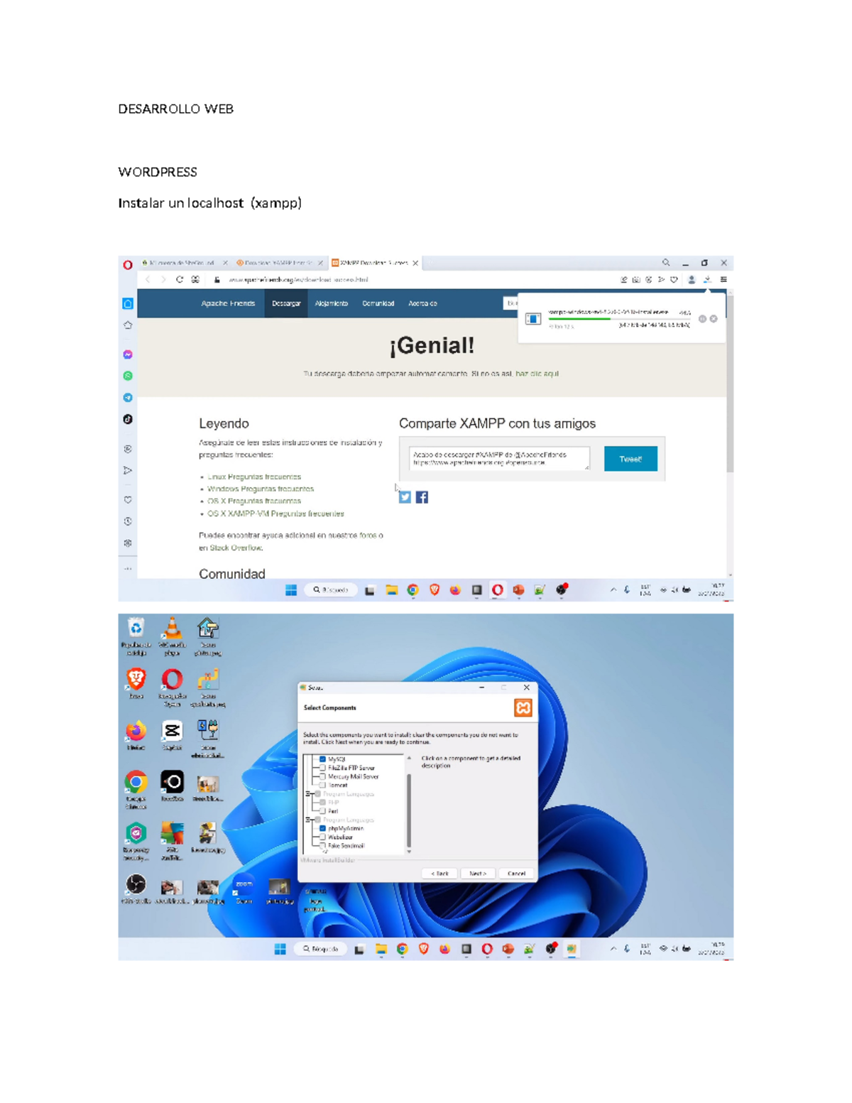 Curso wordpress - Introducción a ciberseguridad - DESARROLLO WEB WORDPRESS Instalar un localhost ...