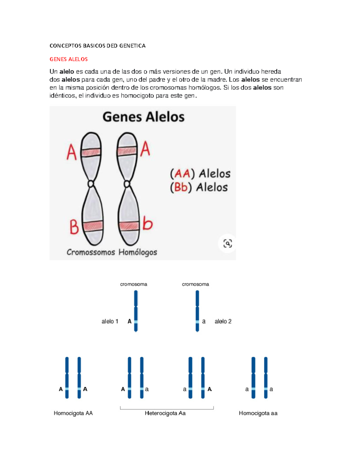 13 Conceptos Basicos DE Genetica - CONCEPTOS BASICOS DED GENETICA GENES ...