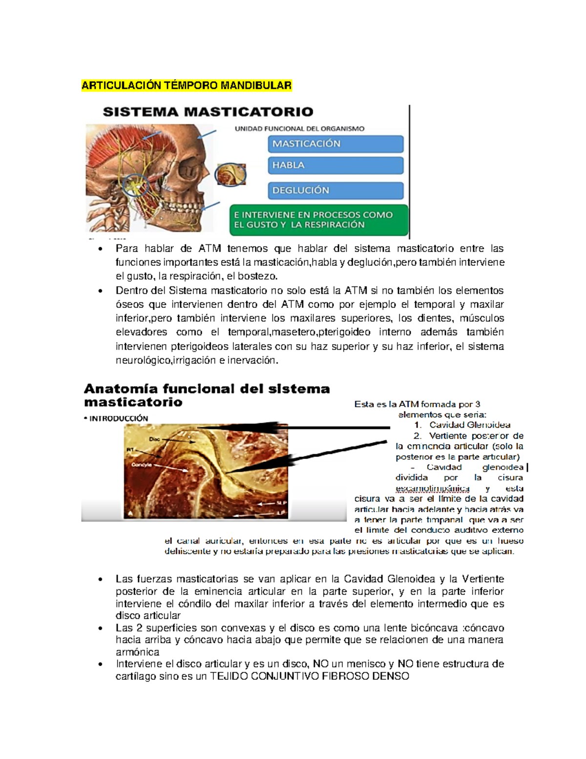 7. ATM (musculos, liquido sinovial tipo intro) - ARTICULACIÓN TÉMPORO ...