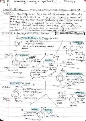 Lab Reports Pointers - Organic Chemistry I Lab Fall Semester-2016 (sec ...