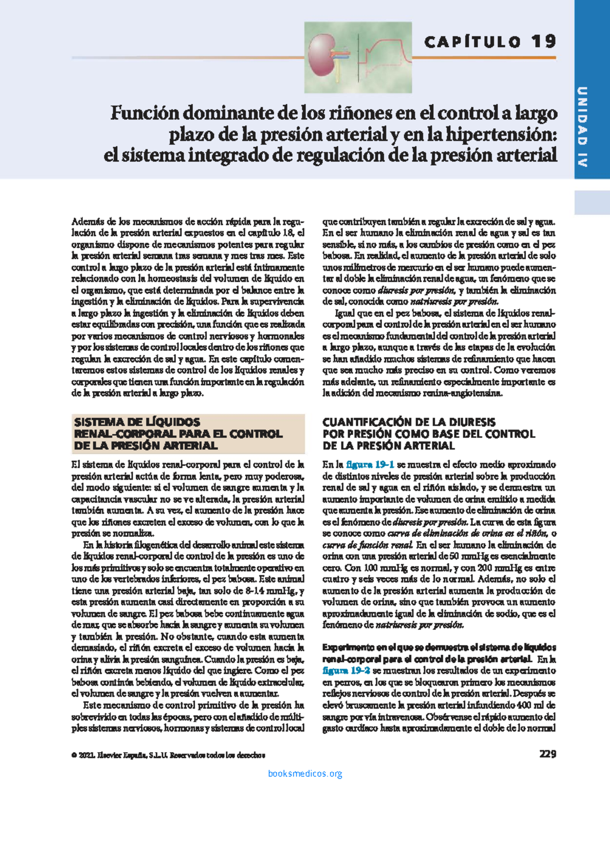 Capitulo 19 Guyton y cap 33 Ganong - 229 U N I D A D I V © 2021 ...