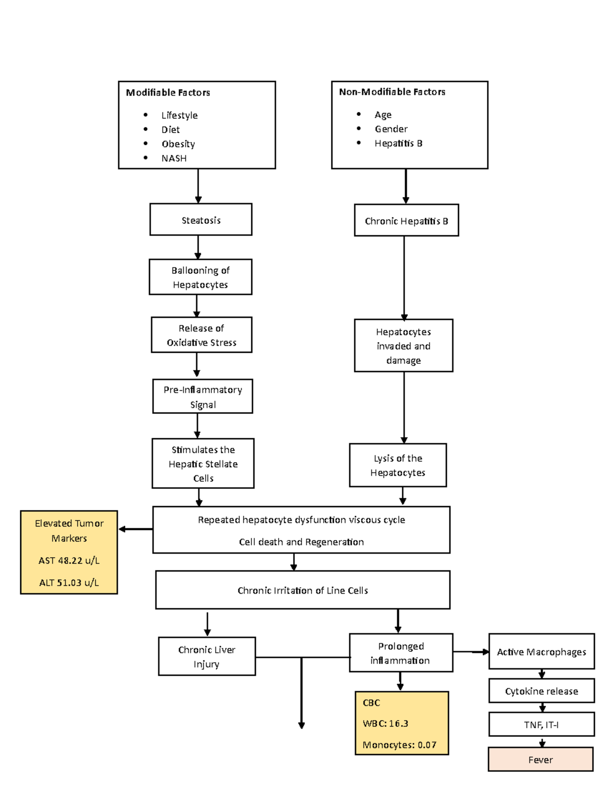Patho - Non-Modifiable Factors Age Gender Hepatitis B Modifiable ...