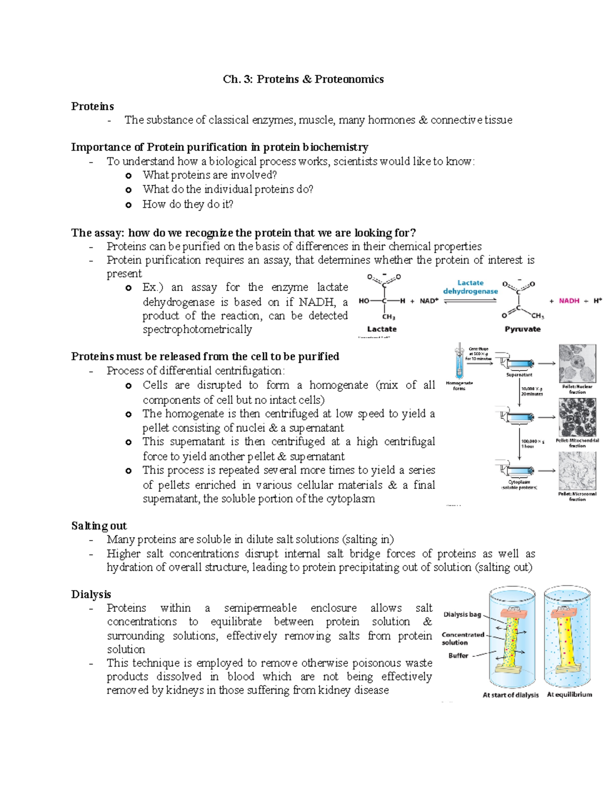 Chem 317 Exam 2 Notes - Ch. 3: Proteins & Proteonomics Proteins - The ...