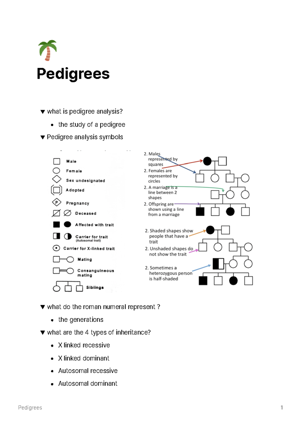 Pedigrees Notes Pedigrees 1 Pedigrees What Is Pedigree Analysis pedigrees-notes-pedigrees-1-pedigrees-what-is-pedigree-analysis