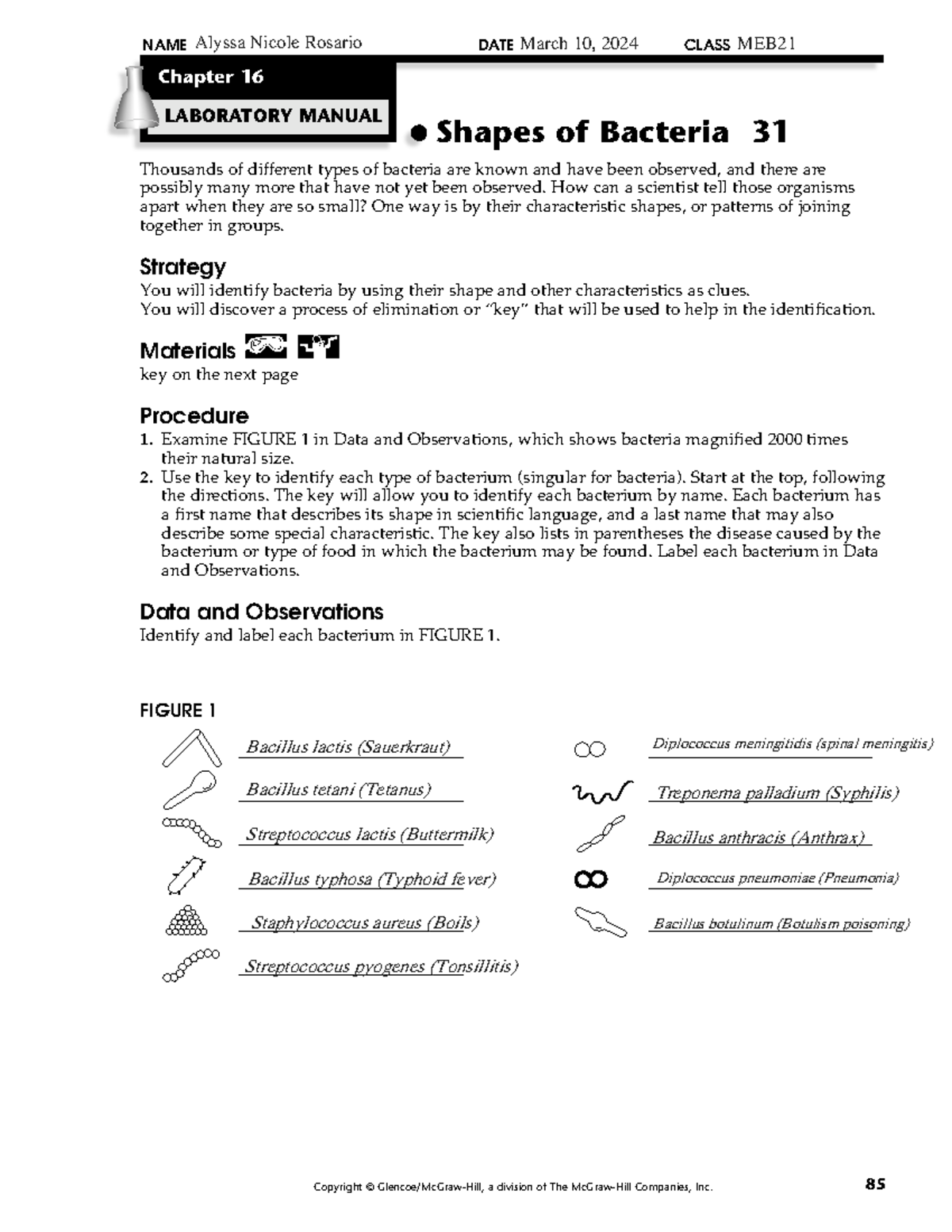 Rosario - seatwork on shapes - Copyright © Glencoe/McGraw-Hill, a ...