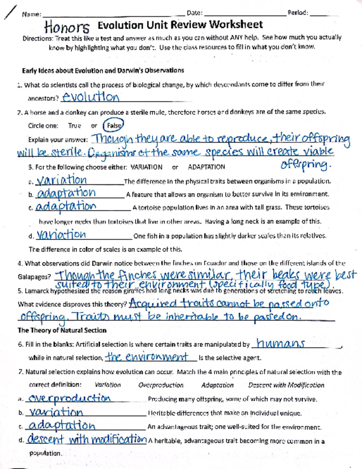 Evolution Unit Review - Studocu