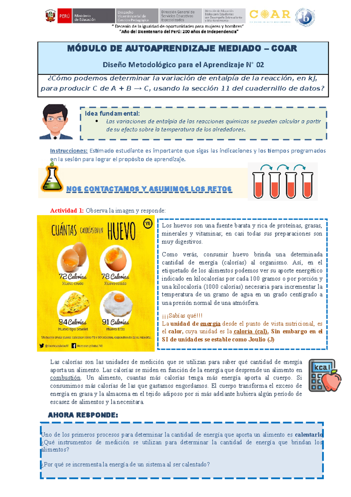 Química descriptiva para la teoría en el nivel medio de IB - MÓDULO DE ...