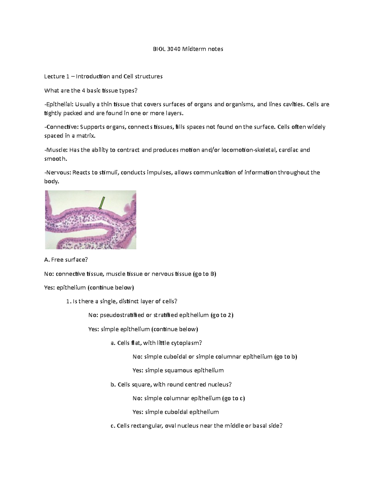 BIOL 3040 Midterm notes - BIOL 3040 Midterm notes Lecture 1 ...