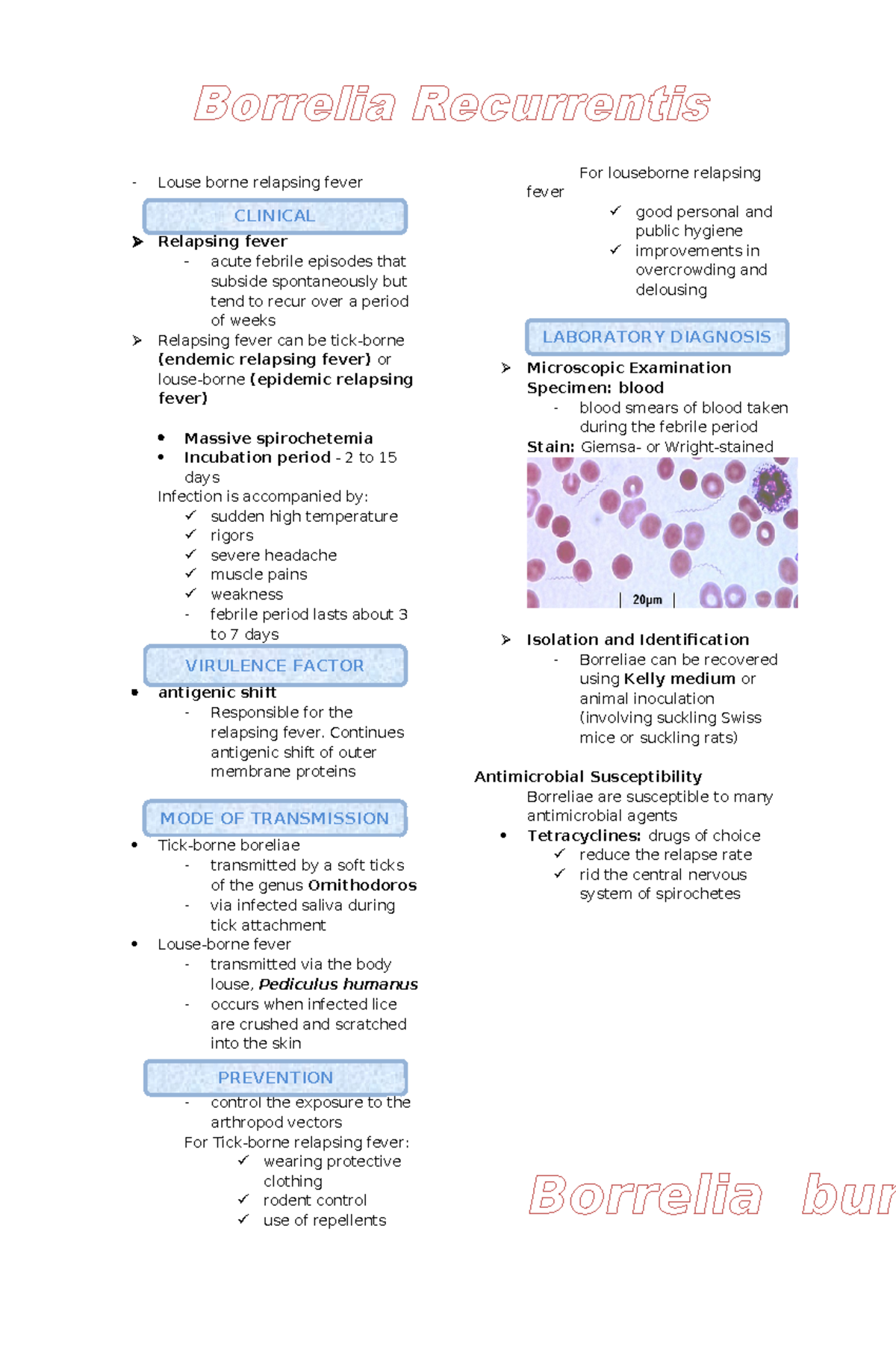 borrelia recurrentis - Louse borne relapsing fever Relapsing fever ...