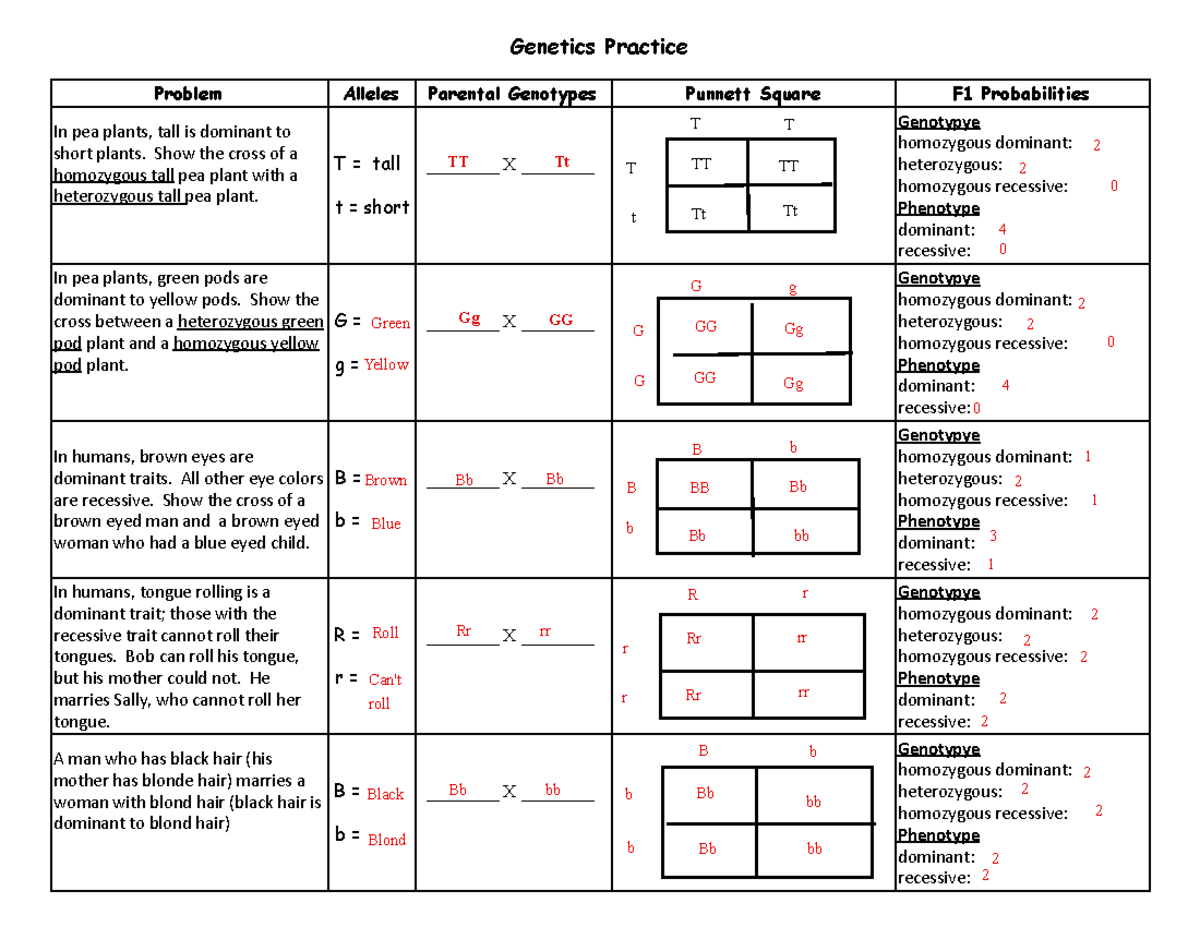 Kami Export - Doan Trang Le - Genetics Practice - Genetics Practice ...