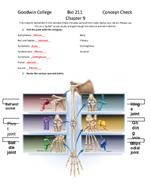 1104Chapter 11 Concept Check BIO211(1) - Chapter 11 The material ...