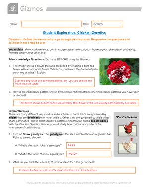 Student Exploration: Osmosis SE Gizmo Answer Key - Name: Abigail Porter ...