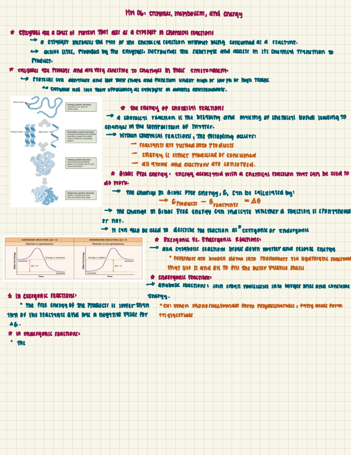 intro to biology : enzyme, metabolism and energy - HW 06 : enzymes ...