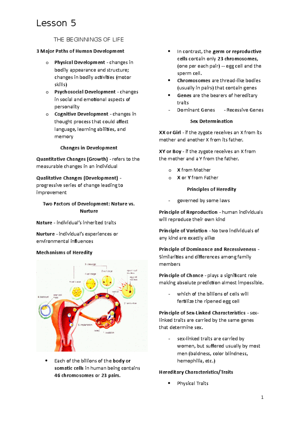 Lesson 5 Human Development - THE BEGINNINGS OF LIFE 3 Major Paths of ...