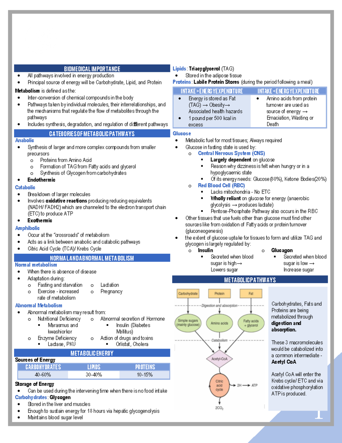 Metabolic Interrelationship - BIOCHEMISTRY B Metabolic ...