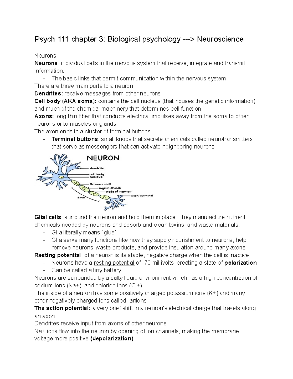 Psych 111 chapter 3: Biological psychology - Psych 111 chapter 3 ...