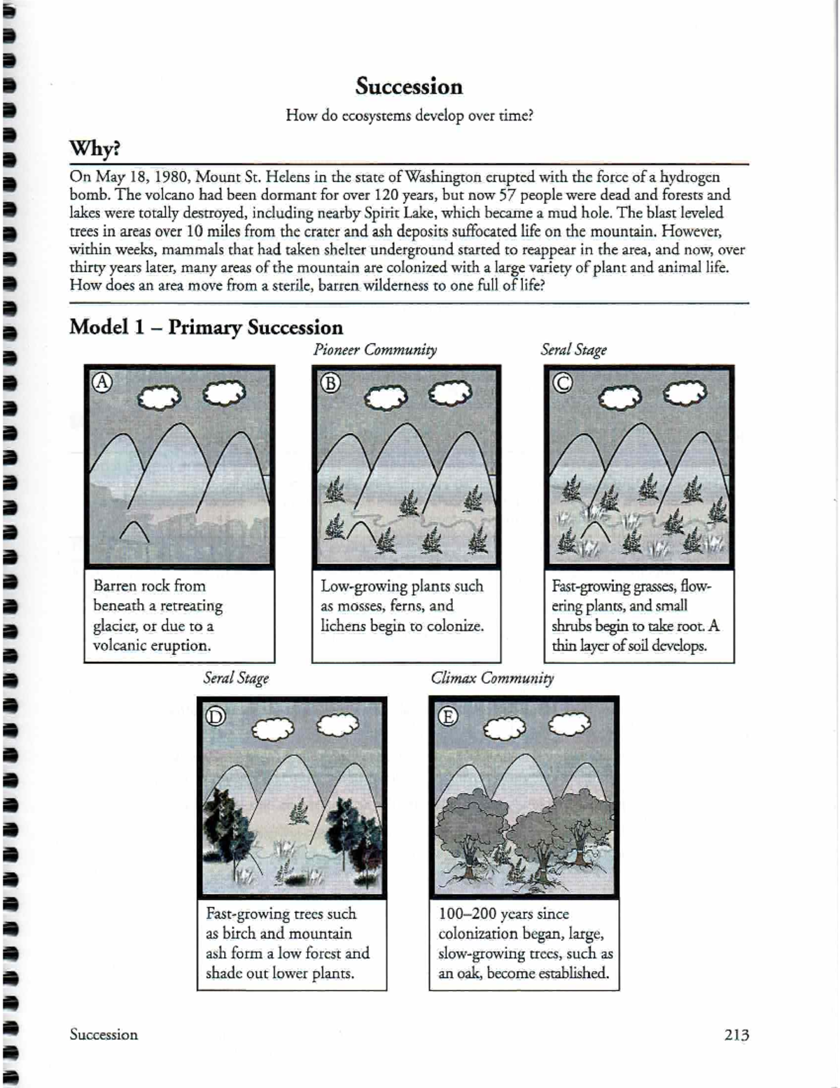 Pogil succession key - It work - Studocu