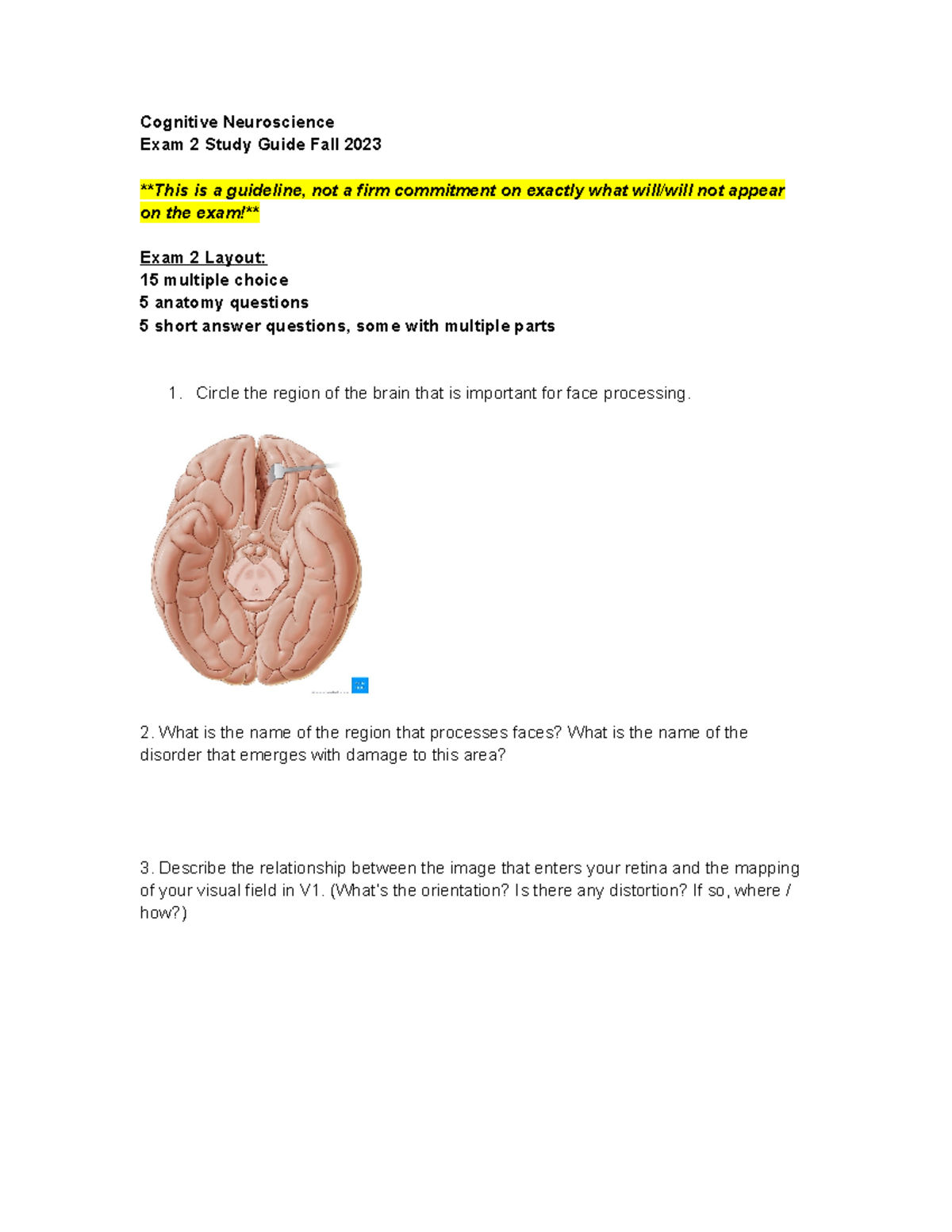 Exam 2 Study Guide Fall 2023 - Cognitive Neuroscience Exam 2 Study ...