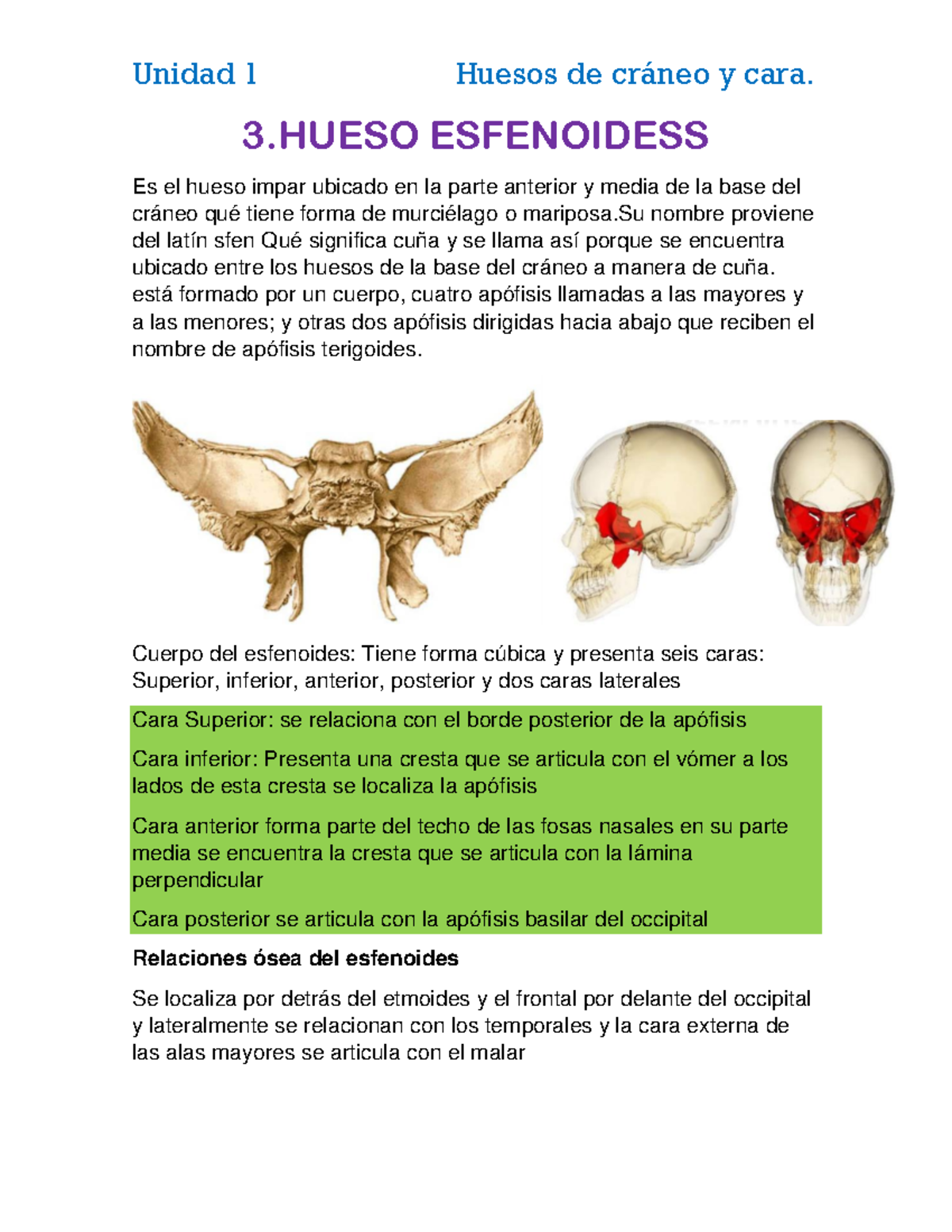 Hueso esfenoides - Unidad 1 Huesos de cráneo y cara. 3 ESFENOIDESS Es ...