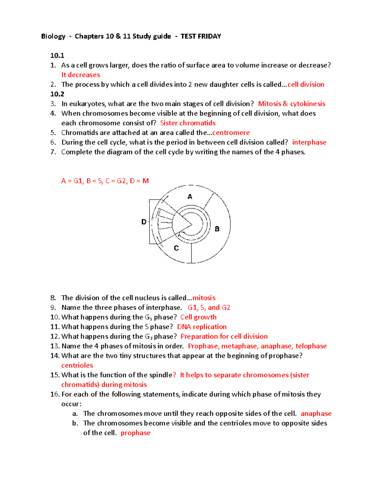 Chapter 10&11study guides 18-key - Biology - Chapters 10 & 11 Study ...