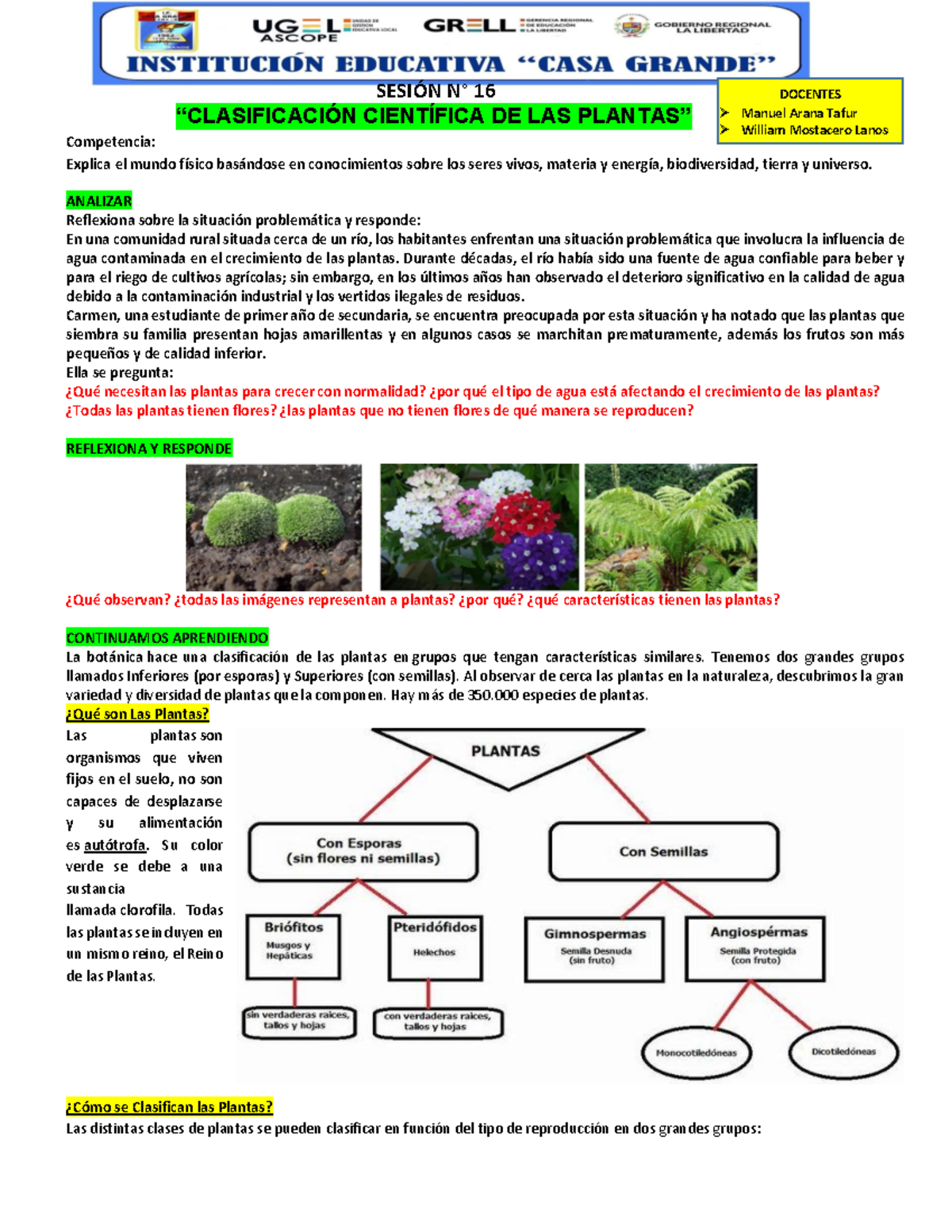 Sesion 16 Clasificación Científica DE LAS Plantas - SESIÓN N° 1 6 ...