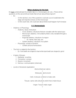 Anatomical Terminology - Anatomical Position: body erect, feet slightly ...