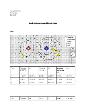 Lab 4 Pendulum (energy conservation) - Group#4: Hachim-Jeongho-Wasim ...
