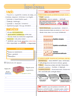 Tecido Cartilaginoso - ####### CARTILAGENS MATRIZ TERRITORIAL: mais ...