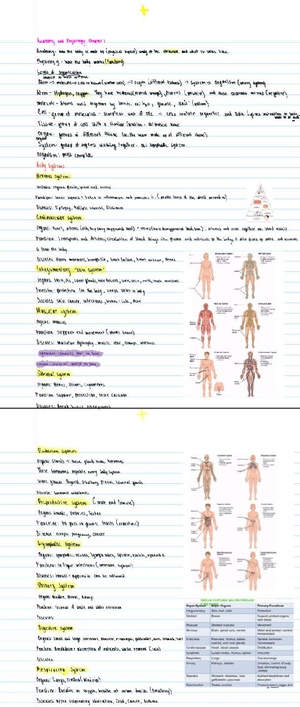 RESP 125 Study Guide - Section 2 - Mucoactive Agents Generic name: N ...