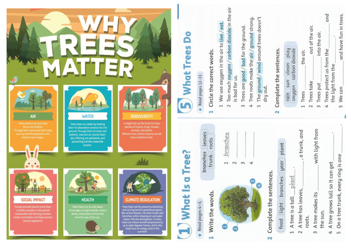 2do act2 exp4 2022 - WHY TREES MATTER - Ingles Aplicado - Studocu