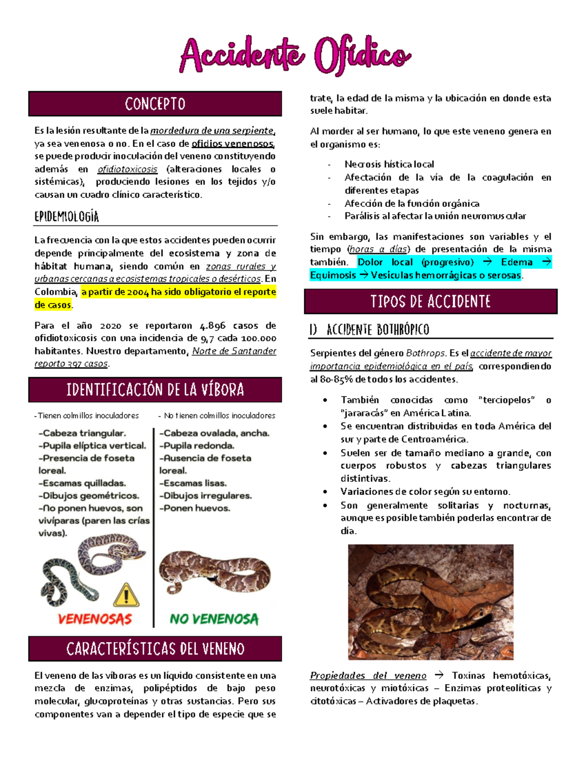 ACCIDENTE OFIDICO RESUMEN TRATAMIENTO Y GUIA - Es la lesión resultante ...