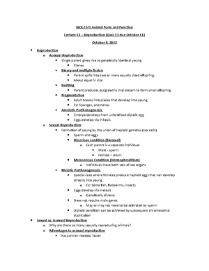 BIOL2371 Lecture 5 Development and Animal Body Patterns Part II ...