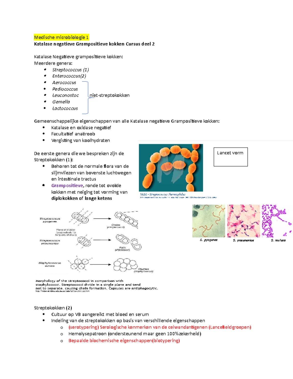 Medische microbiologie 1 - bij kinderen Koorts – angina – fijne ...