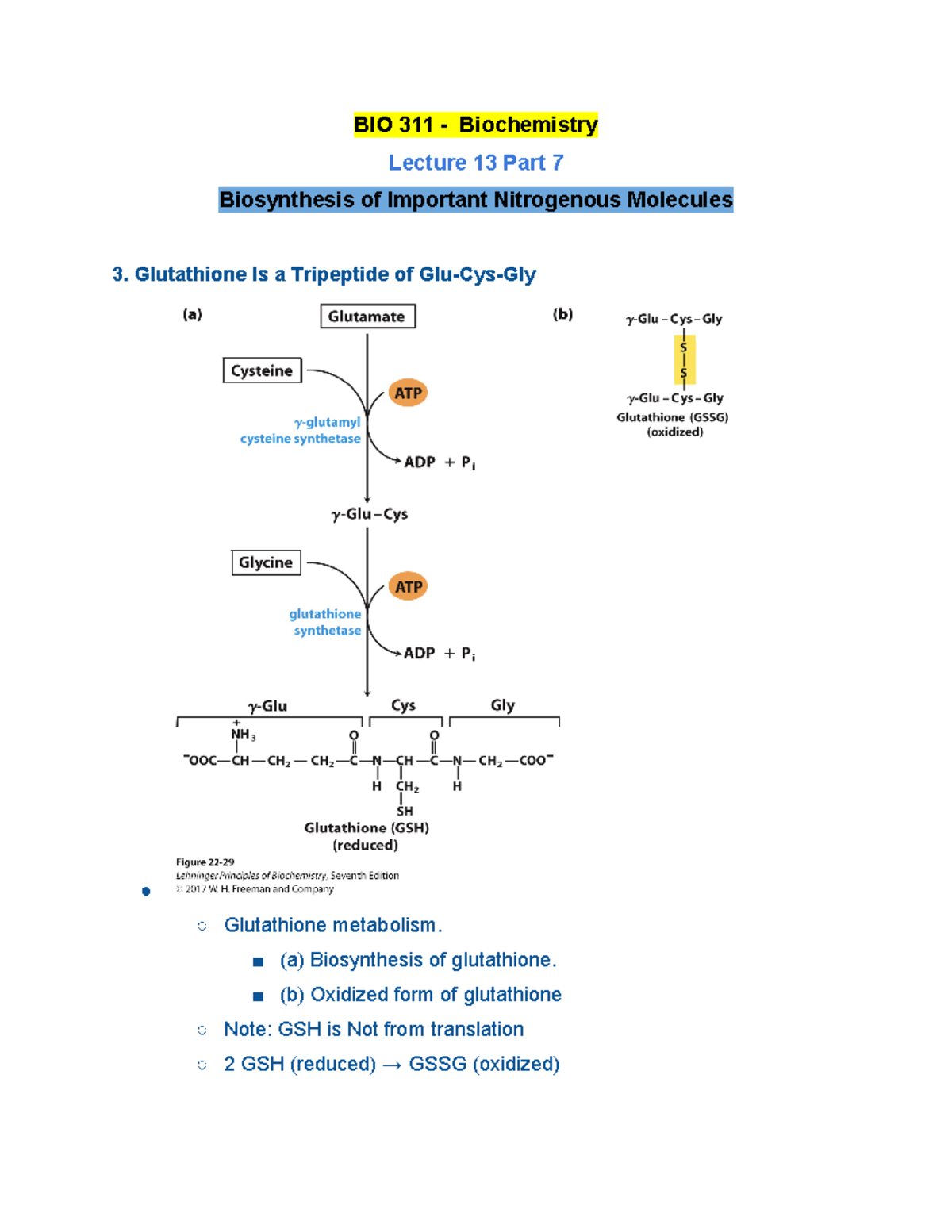 BIO 311 Lecture 13 Part 7 Fall 2020 - BIO 311 - Biochemistry Lecture 13 Part 7 Biosynthesis of ...