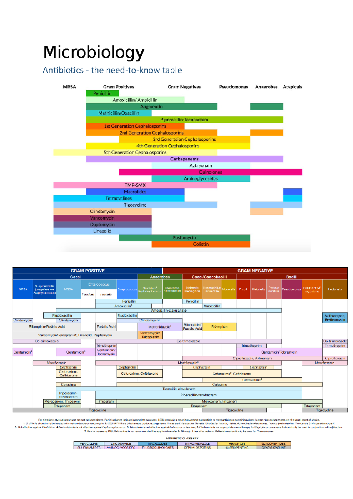 Microbiology - Sepsis - Microbiology Antibiotics - the need-to-know ...