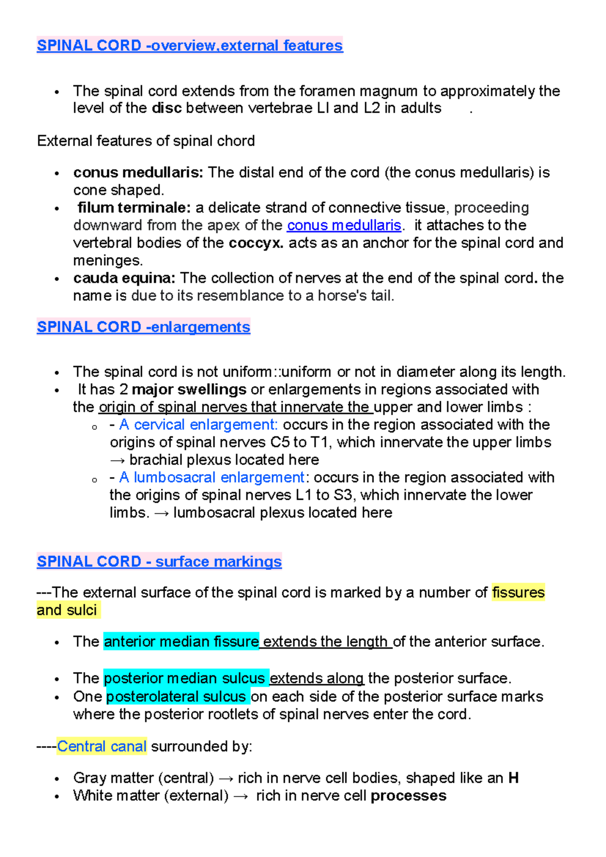 Spinal Cord Anatomy - SPINAL CORD -overview,external features The ...