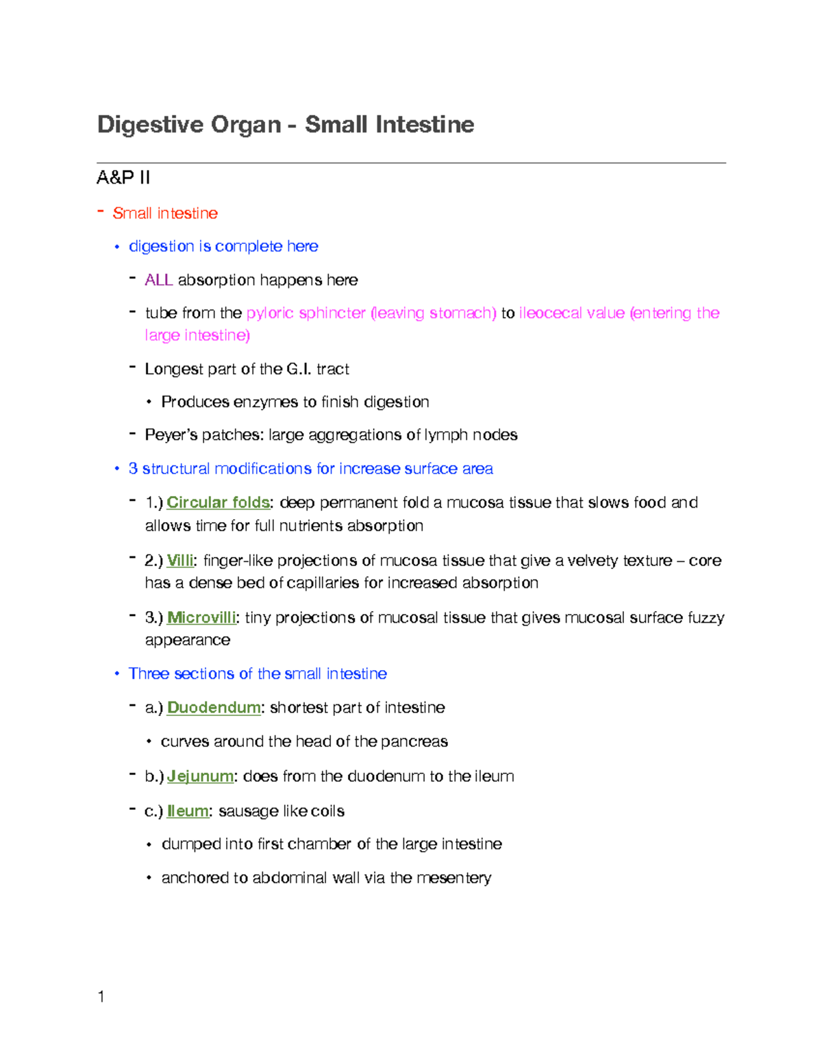 Digestive Organ - Small Intestine - Digestive Organ - Small Intestine A ...